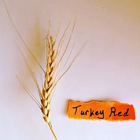 BIODYNAMIC FOOD PRODUCTS - Meadowlark Hearth